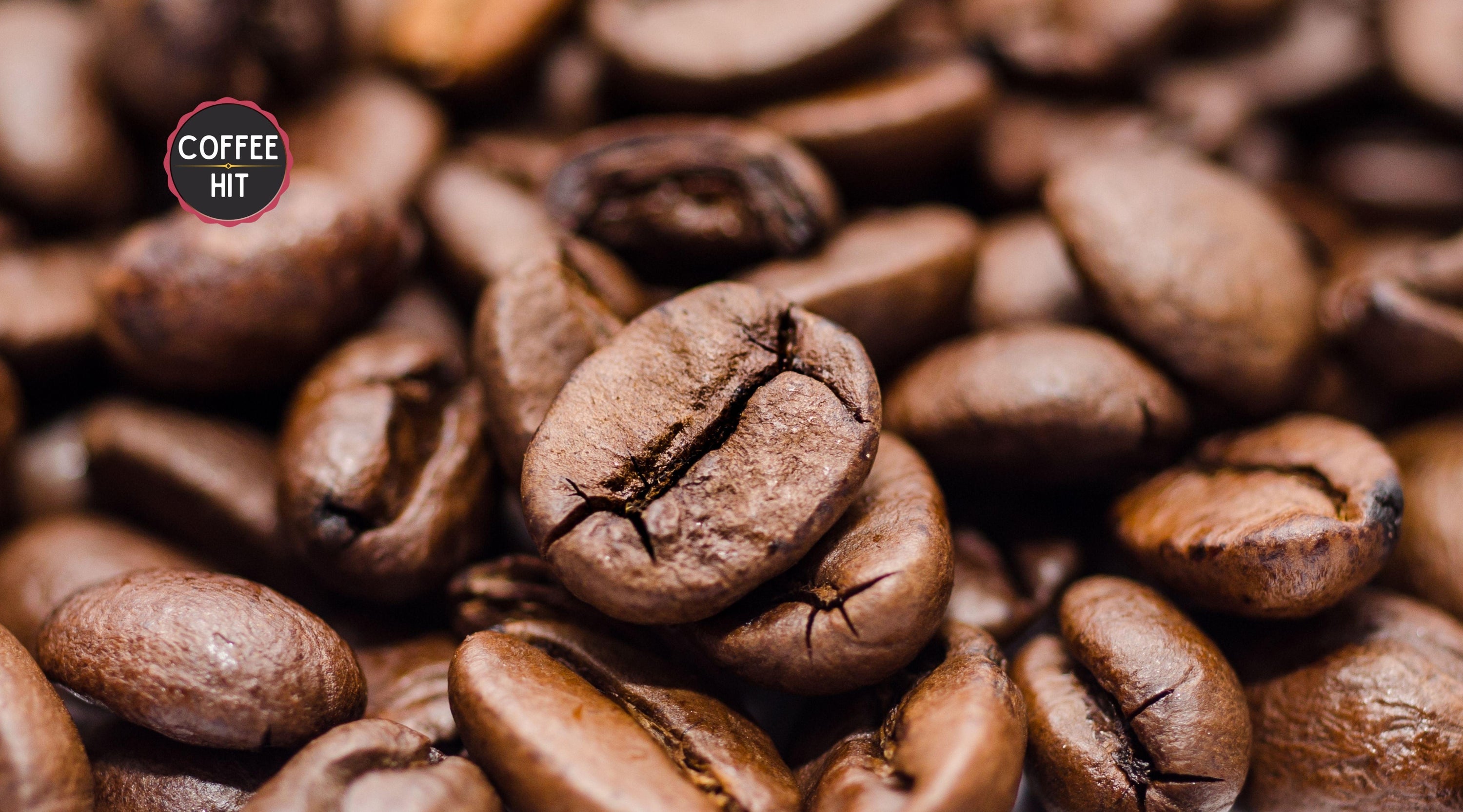 Coffee Beans 101: The 4 Most Popular Beans... – Coffee Hit